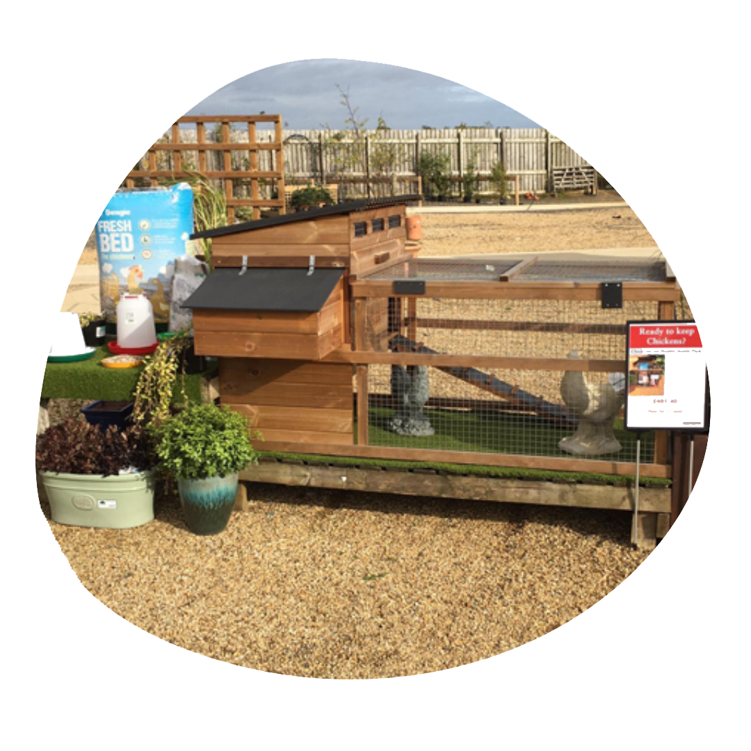 Poultry Starter Kit - The Poultry Centre