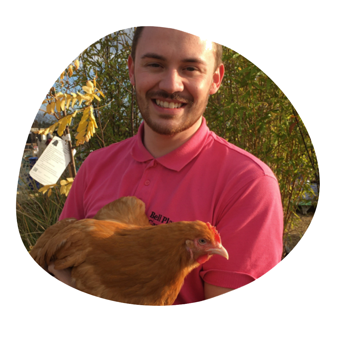 About Us - The Poultry Centre